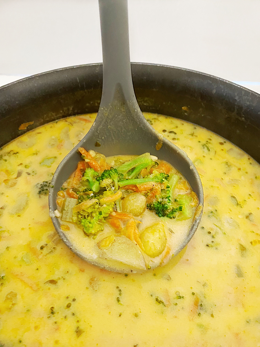 Cheesy Vegetable Chowder